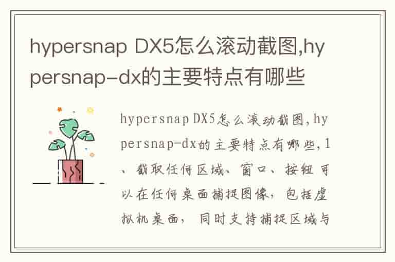 hypersnap DX5怎么滚动截图,hypersnap-dx的主要特点有哪些-兔宝宝游戏网